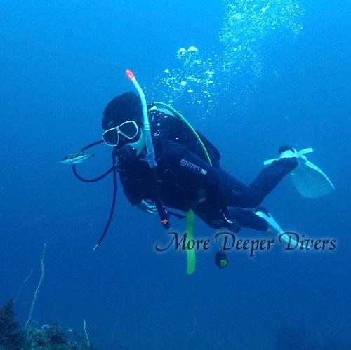 ツアー | More Deeper Divers